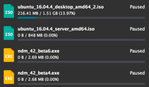 Ninja Internet Download Manager | NDM