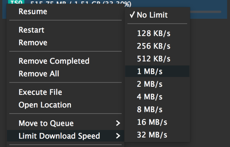 Ninja Download Manager (NDM) | NDM